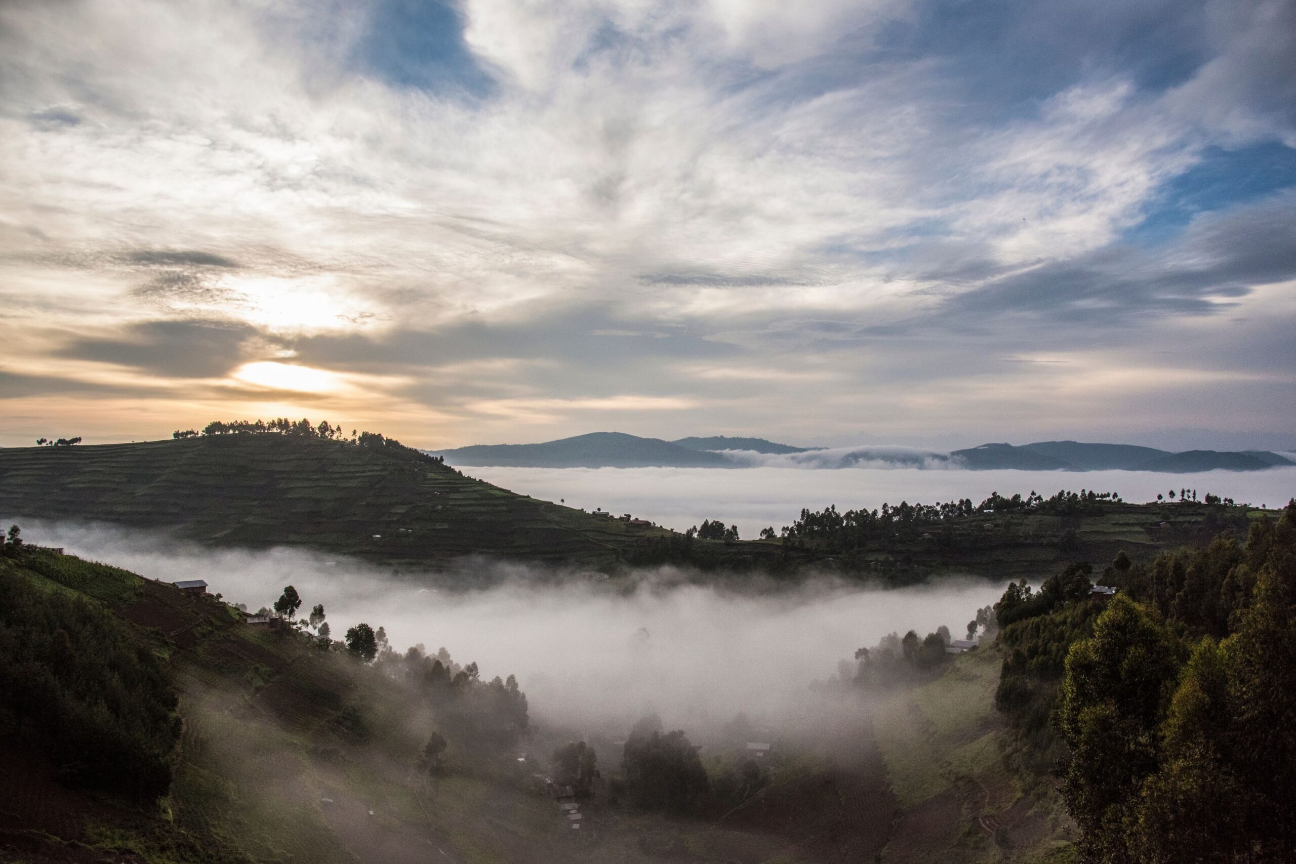 Bwindi Impenetrable National Park – where mountain gorillas roam