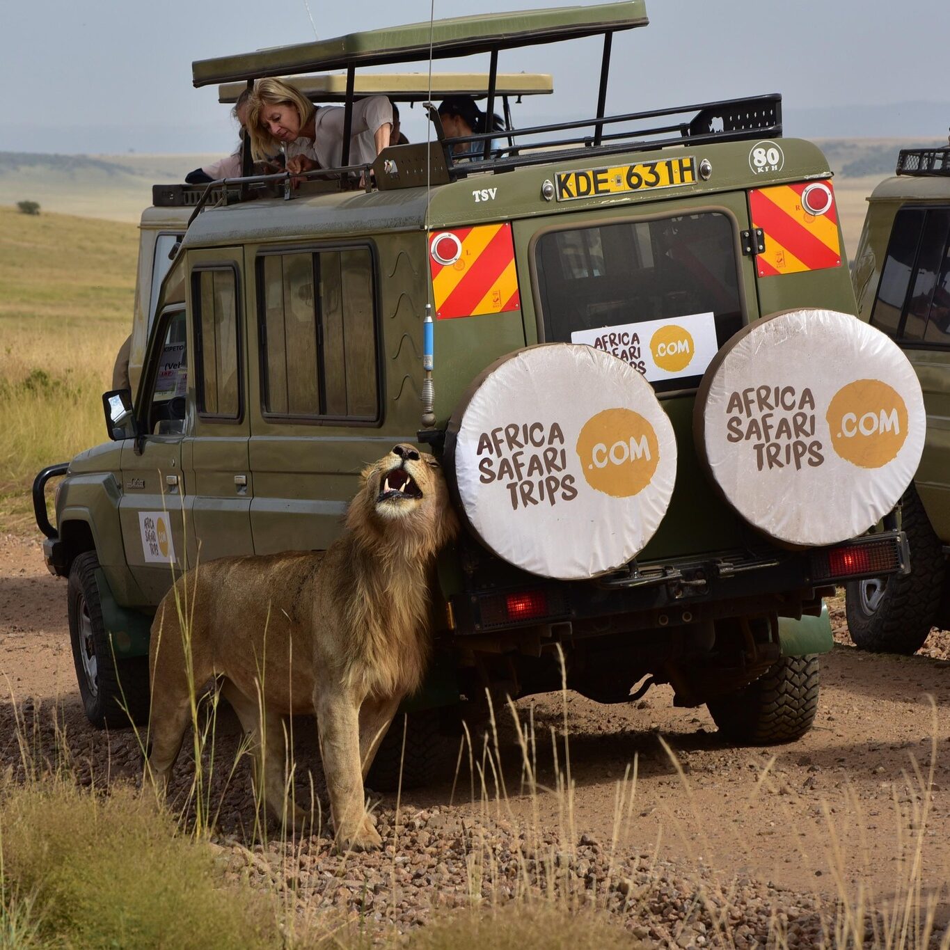 About Africa Safari Trips l Private Safaris in Africa
