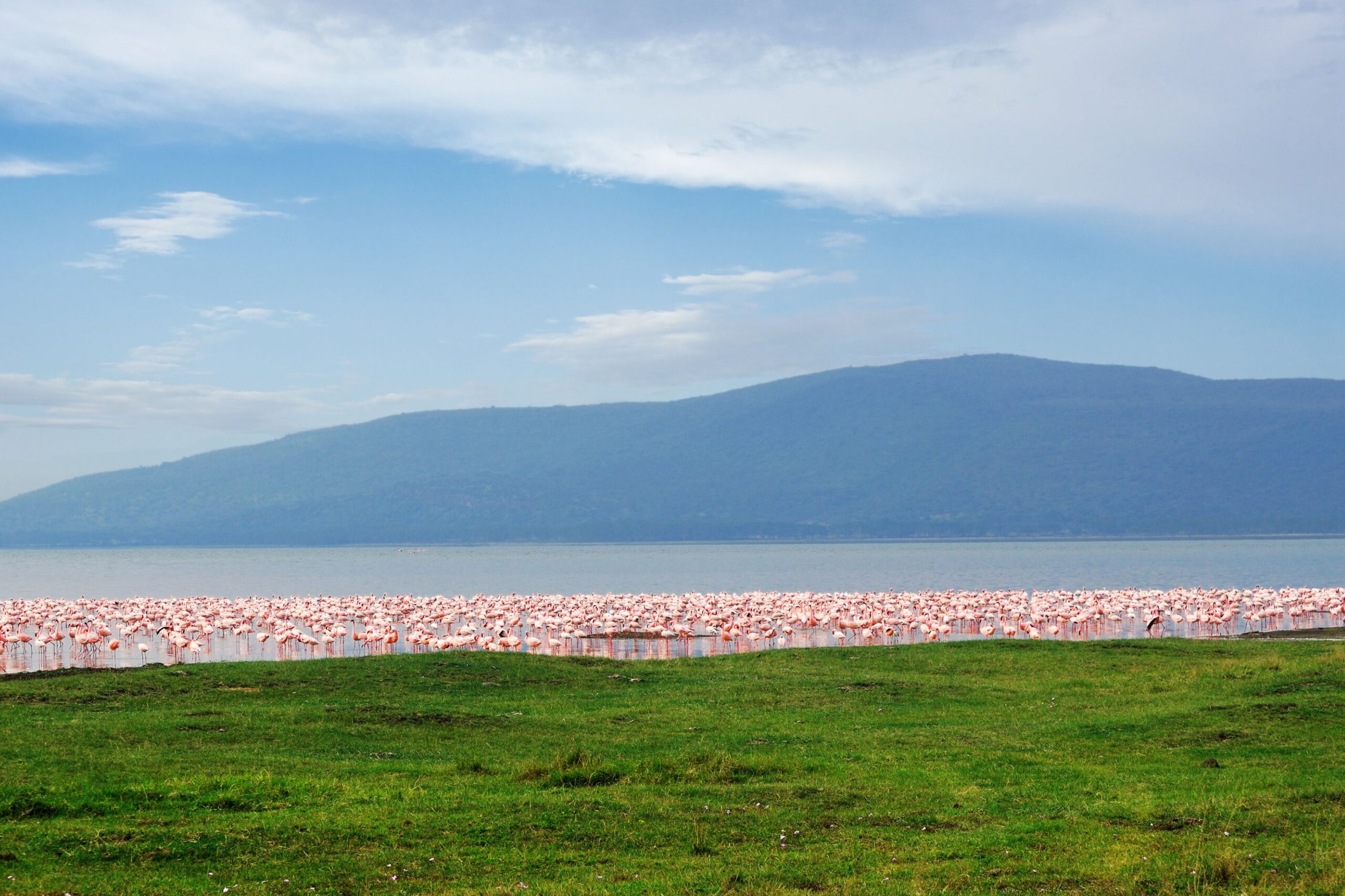 Lake Nakuru National Park – home of the flamingos
