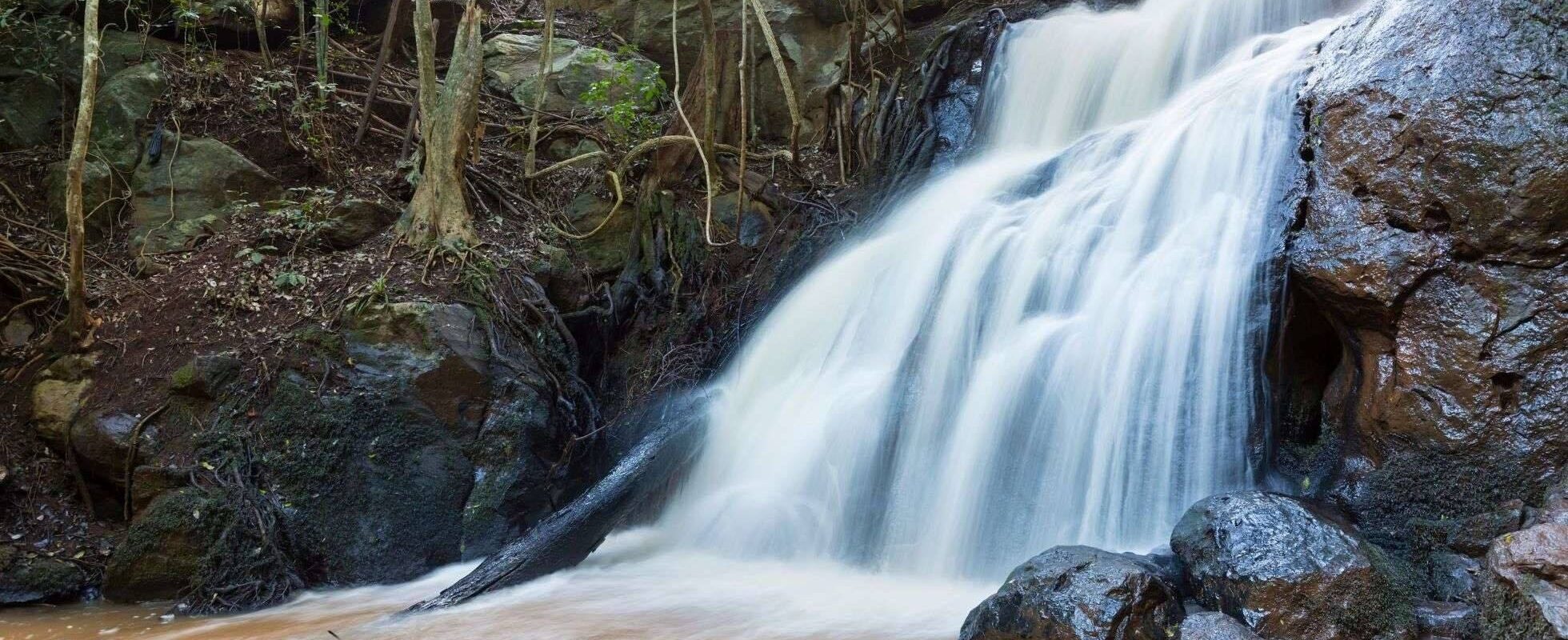 Relax at Nairobi’s peaceful Karura Forest