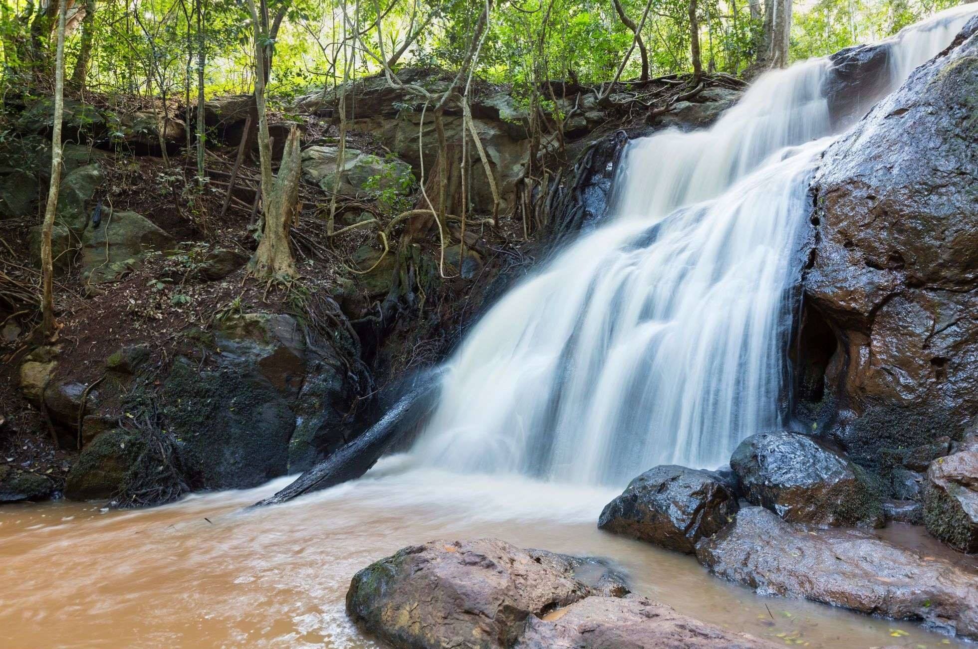 Relax at Nairobi’s peaceful Karura Forest