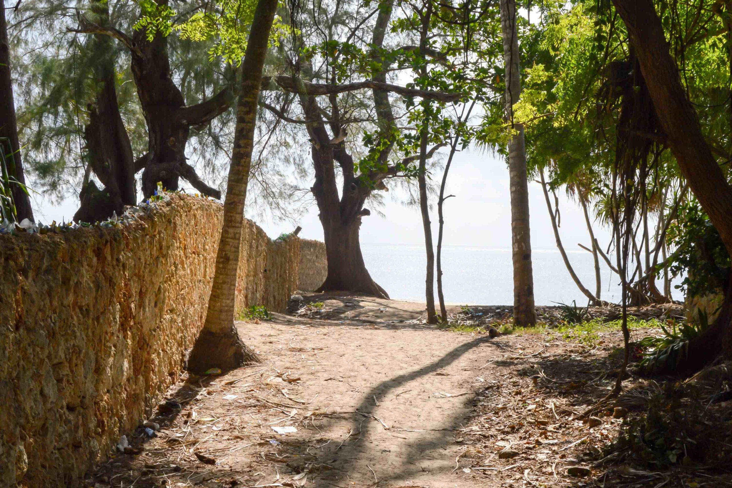 Hike on the stunning Bamburi Forest Trails