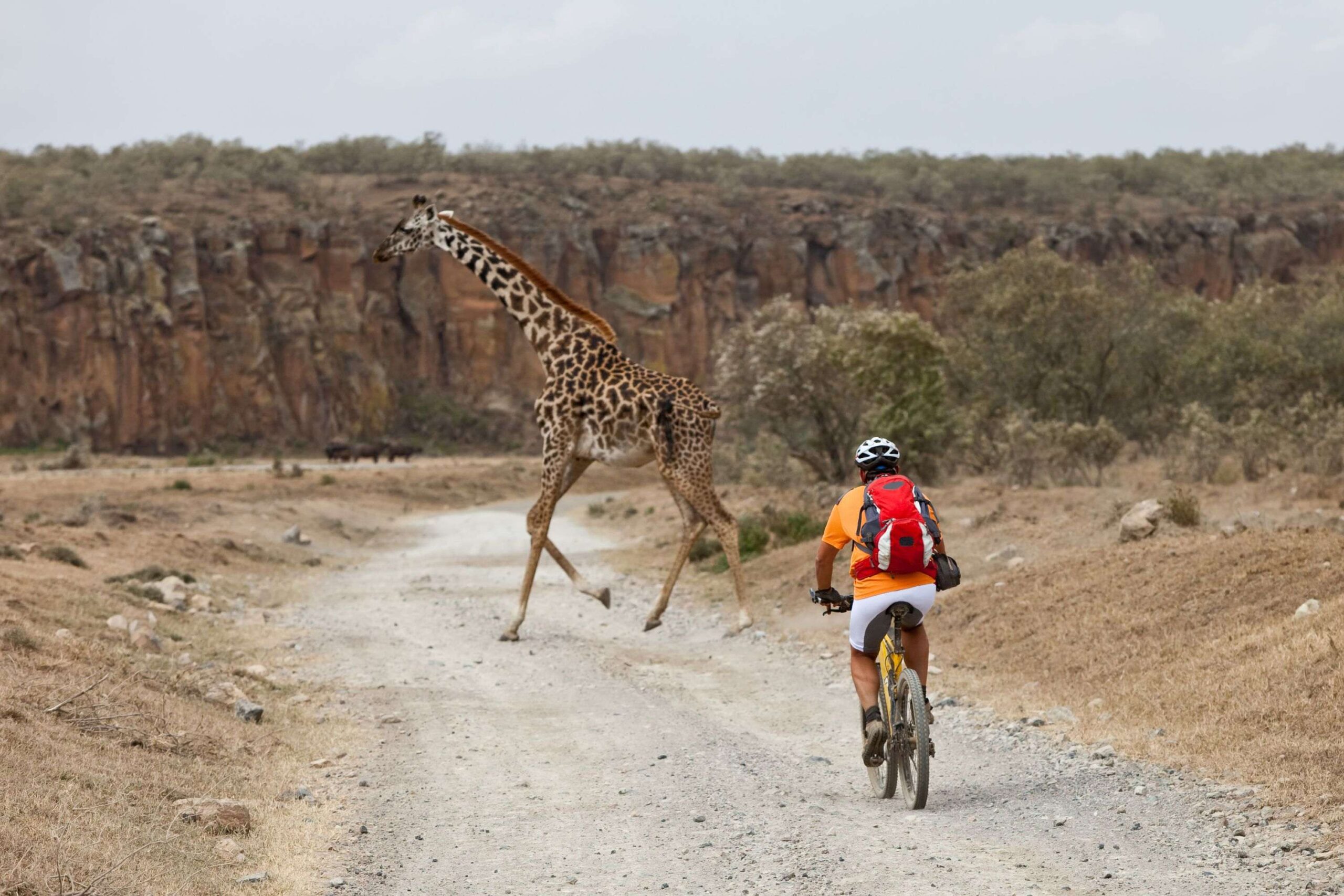 Bicycle ride from Chui Lodge to Hells Gate National Park - Africa ...