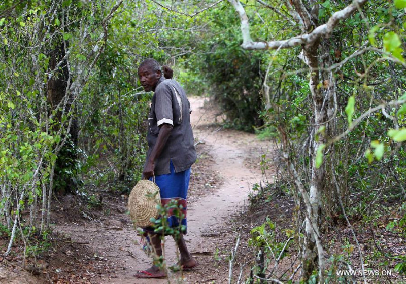 Visit the fascinating Digo tribe in Kenya