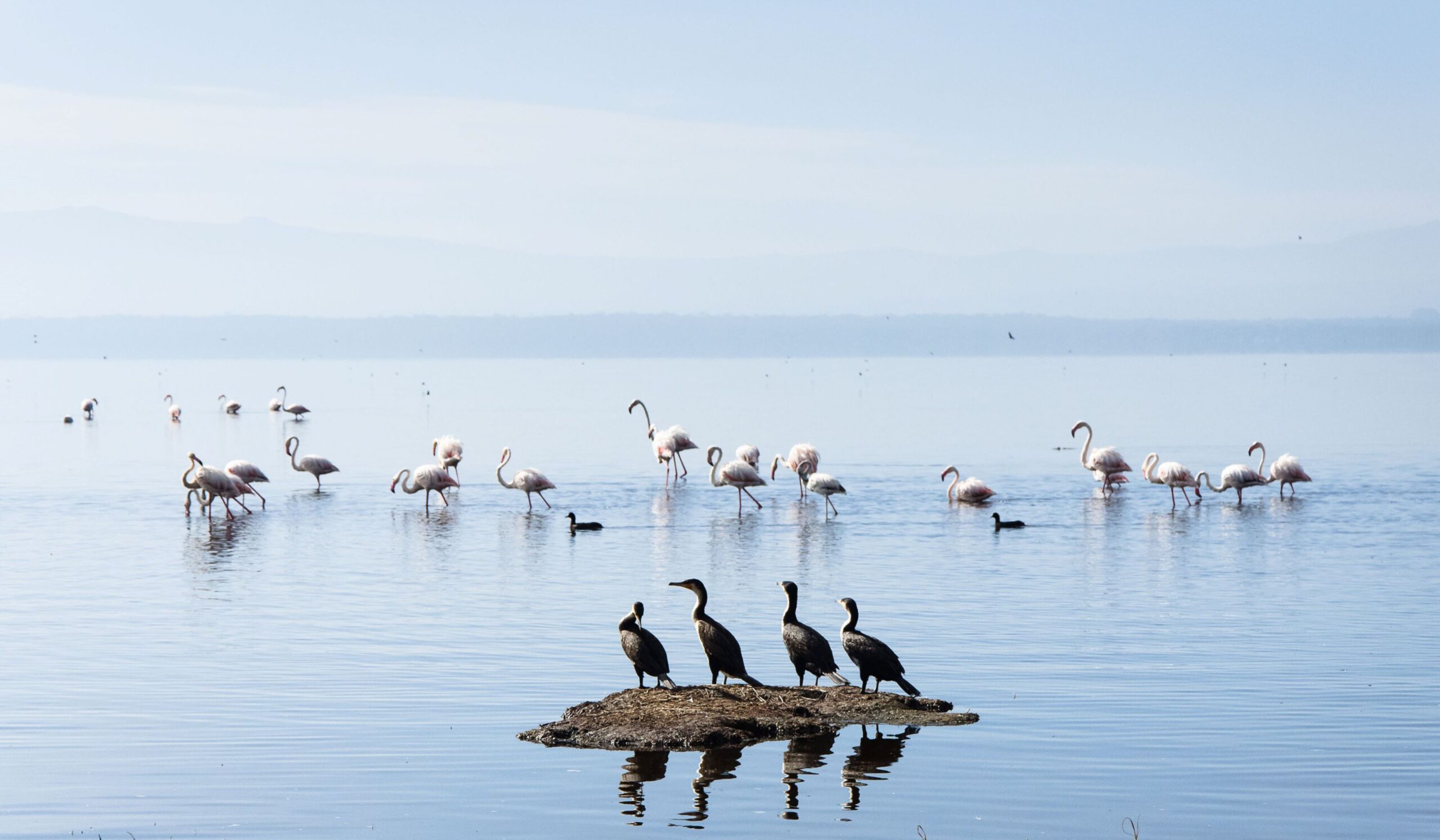 Lake Nakuru National Park - Africa Safari Trips