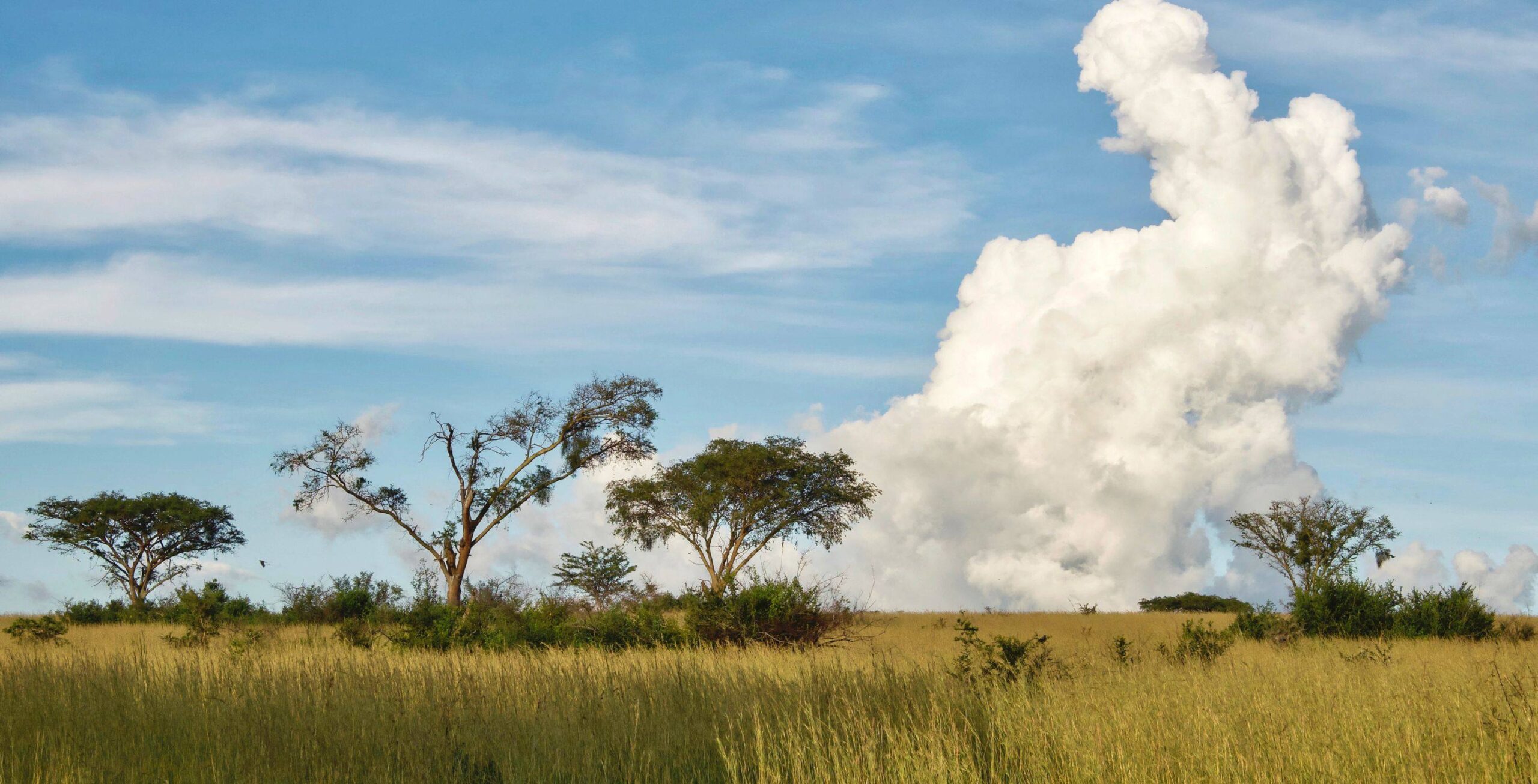 Queen Elizabeth National Park - Africa Safari Trips