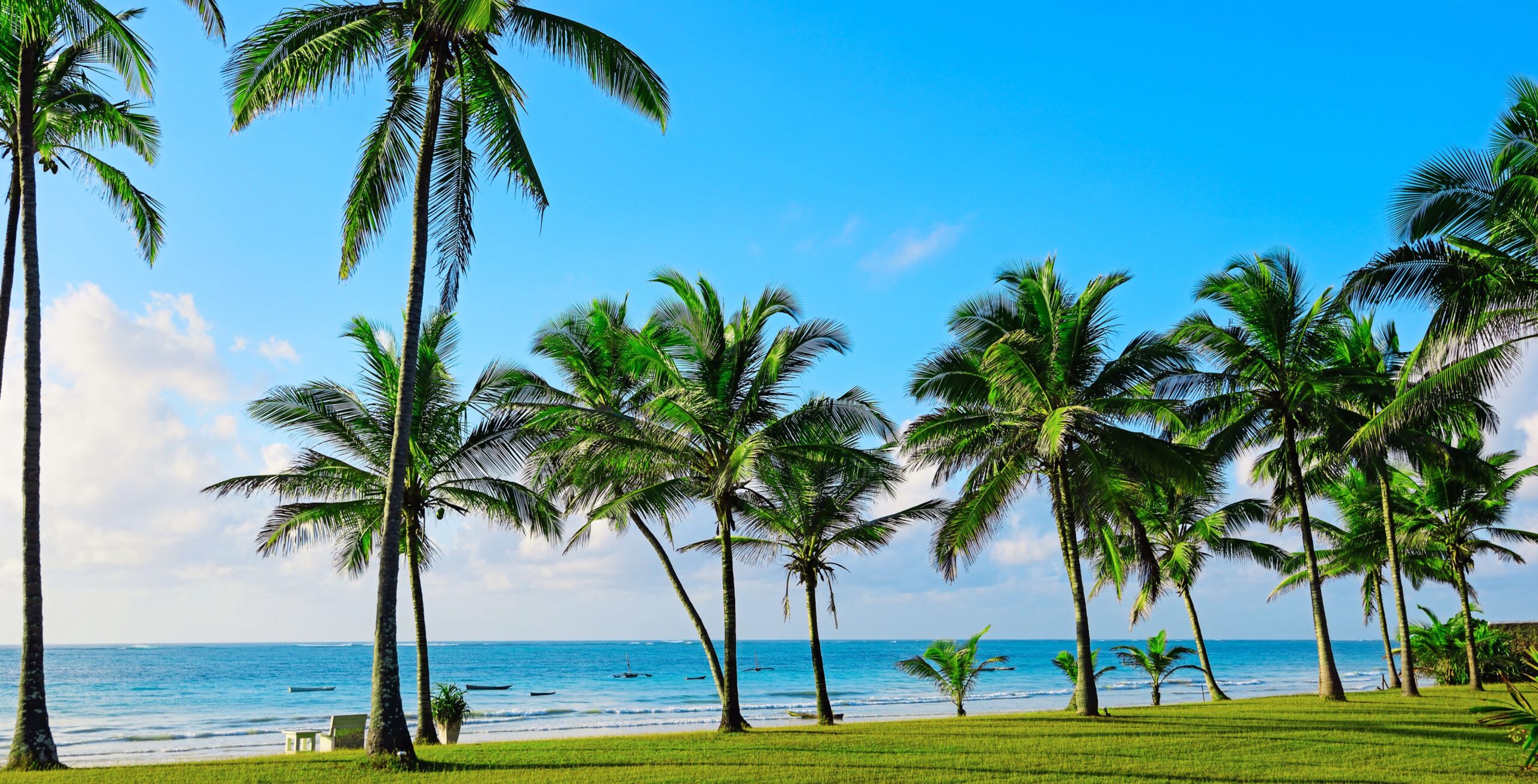 Kenya's Stunning Beaches | Top Coastal Highlights