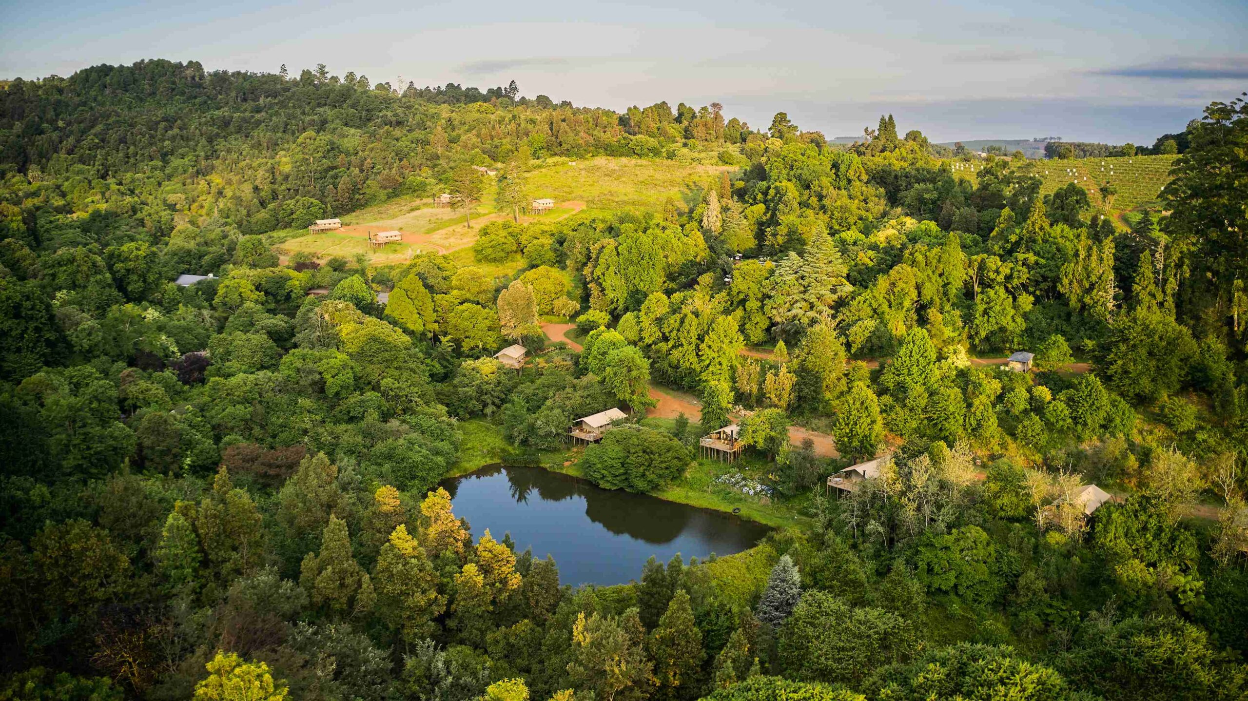 Magoebaskloof Africamps - Africa Safari Trips